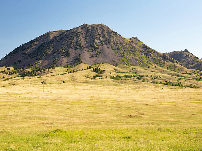 Nature's skyscraper! Bear Butte rises from the prairie like a geological exclamation point, daring you to explore its rugged slopes and hidden stories.