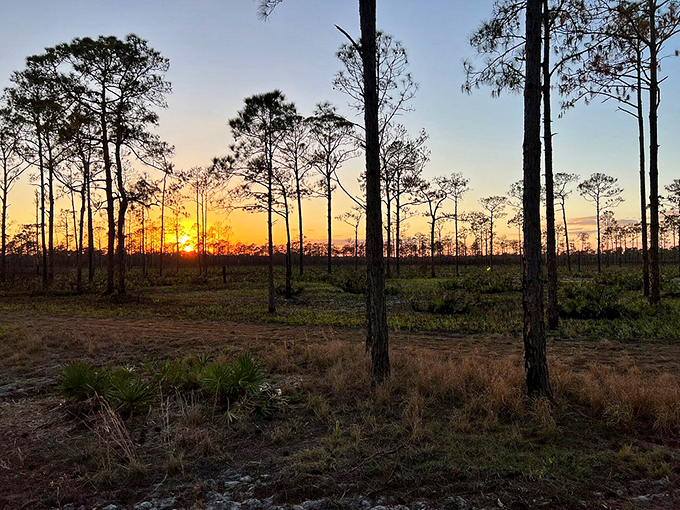 Nature's own light show! As the sun bids adieu, the sky erupts in a dazzling display that would make even Broadway jealous.