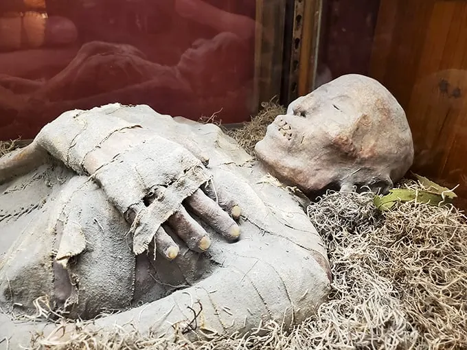 Mummy dearest takes a dirt nap. This ancient Egyptian's beauty sleep has lasted a few millennia too long.
