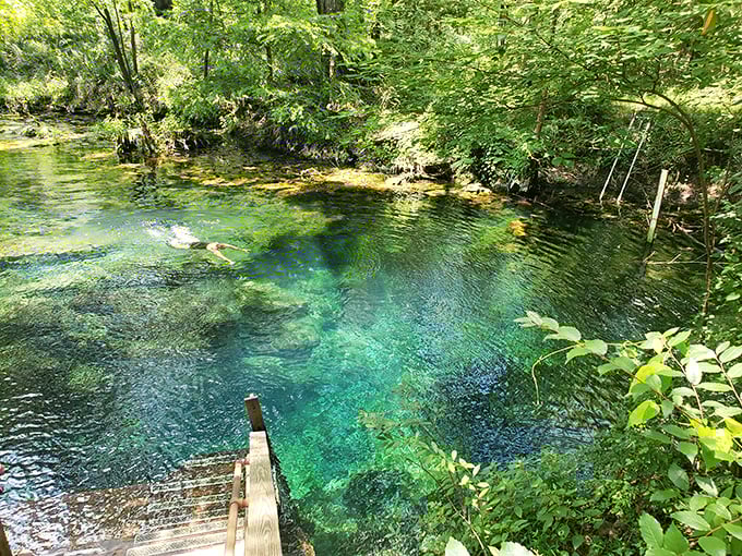 Take a dip in nature's own jacuzzi. It's like swimming in liquid sapphire – without the hefty price tag!