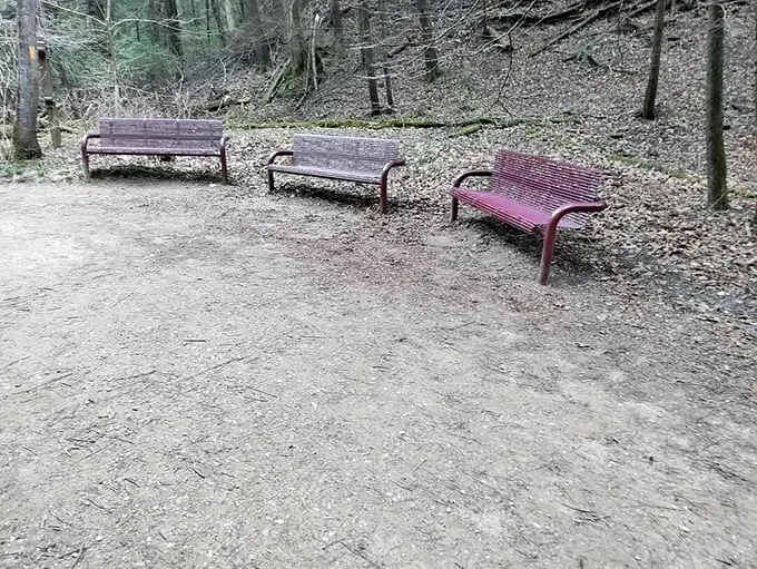 Take a load off on nature's own living room set. These benches offer front-row seats to the greatest show on earth – the great outdoors!
