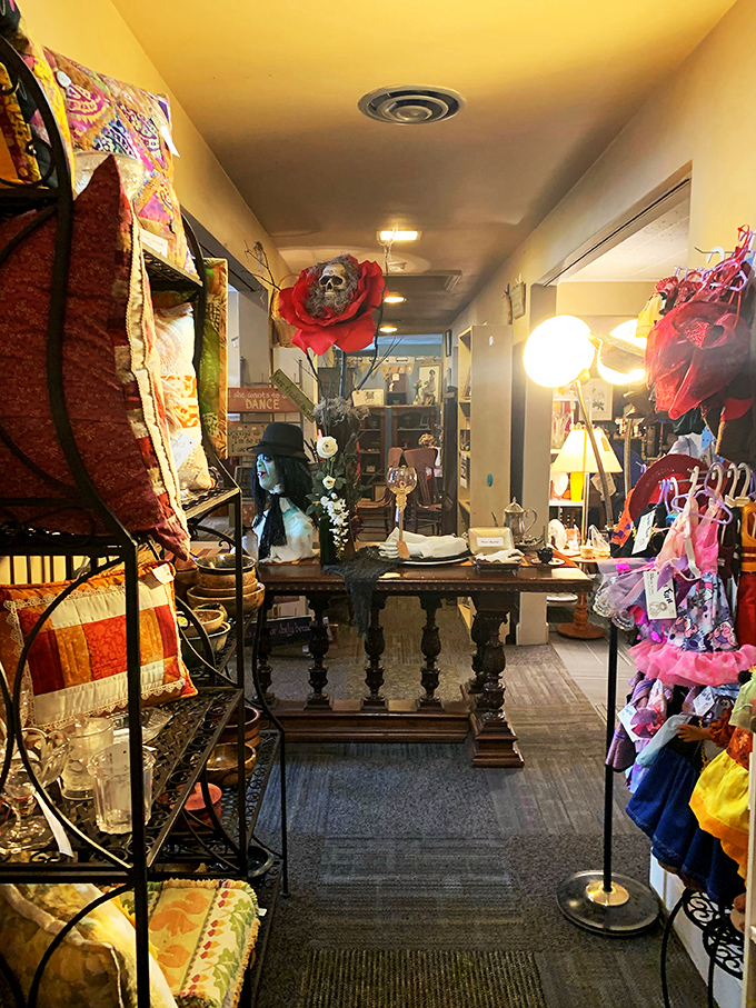 Welcome to the "I Spy" champion's dream room! From quirky knick-knacks to elegant antiques, this display is a treasure hunt waiting to happen. Can you spot the kitchen sink?