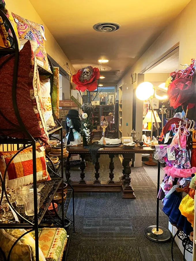 Welcome to the "I Spy" champion's dream room! From quirky knick-knacks to elegant antiques, this display is a treasure hunt waiting to happen. Can you spot the kitchen sink?