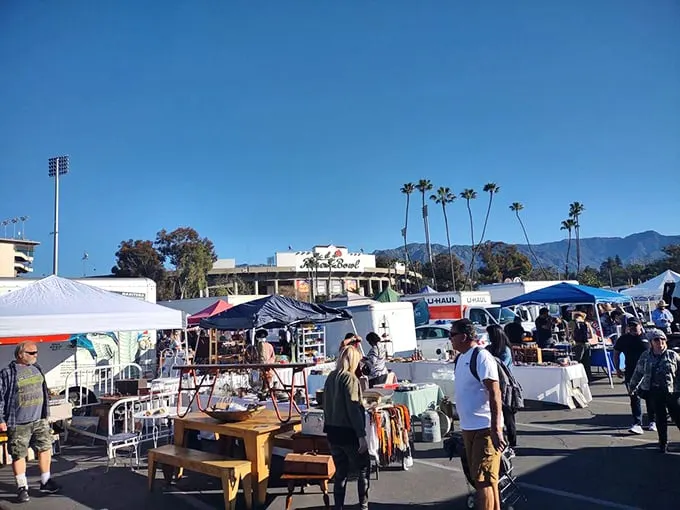 Shop 'til you drop, then shop some more! The endless sea of white tents promises hidden gems and unexpected finds.