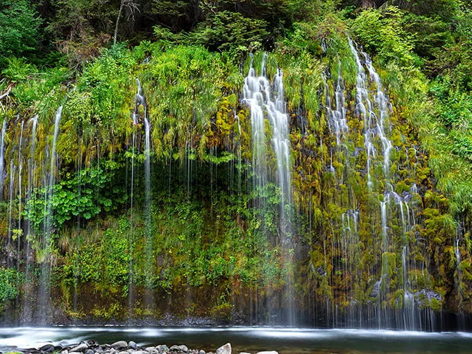 Mossbrae Falls: Northern California's hidden slice of paradise. It's like stumbling into Rivendell, minus the elves.