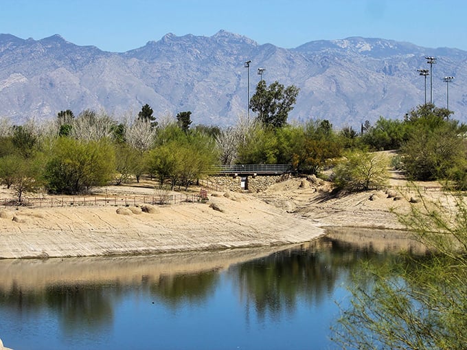 Crystal-clear streams and natural pools – Sabino Canyon is nature's way of saying, "Yes, Tucson can be cool... literally!"