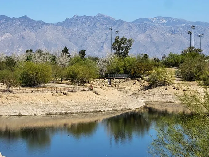 Crystal-clear streams and natural pools – Sabino Canyon is nature's way of saying, "Yes, Tucson can be cool... literally!"