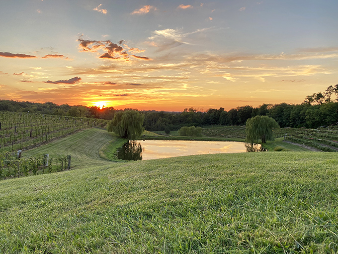 Wine, art, and bonfires? Vinoklet knows how to party. It's like adult summer camp, but with better drinks.