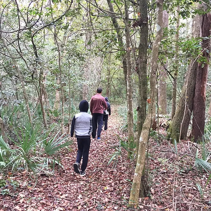 Hiking through a scene straight out of "Jurassic Park" – minus the velociraptors, thankfully!