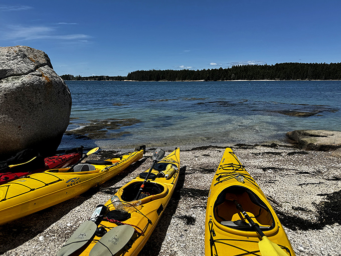 Kayak adventures await! Paddle your way through nature's masterpiece, where every stroke reveals a new postcard-worthy view.