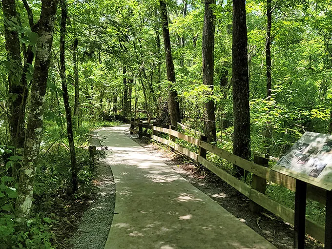 Follow the yellow brick... trail? This path might not lead to Oz, but it promises an equally magical journey.