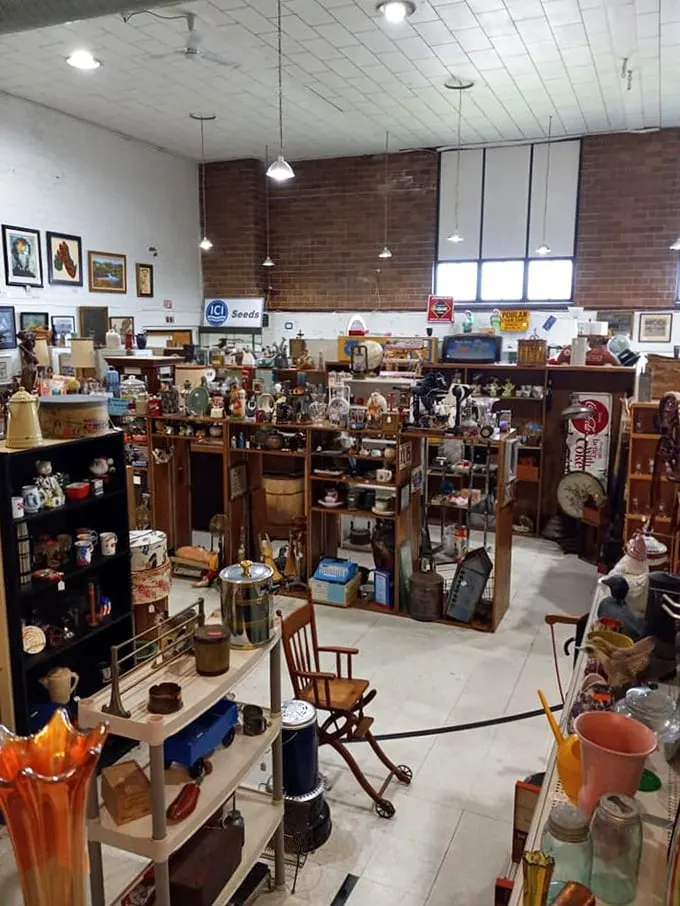 Curio cabinet meets Curiosity Shop! It's a three-dimensional 'I Spy' game where every shelf tells a story.