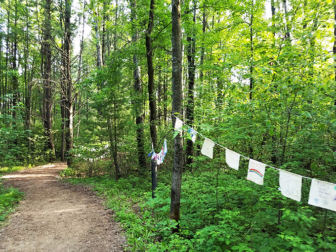 A clothesline in the woods? It's like Mother Nature decided to hang out her laundry, adding a touch of whimsy to the trail.