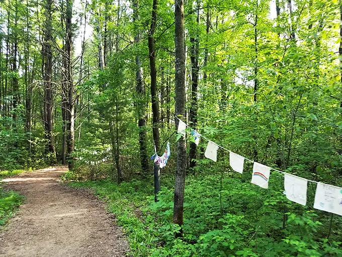 A clothesline in the woods? It's like Mother Nature decided to hang out her laundry, adding a touch of whimsy to the trail.
