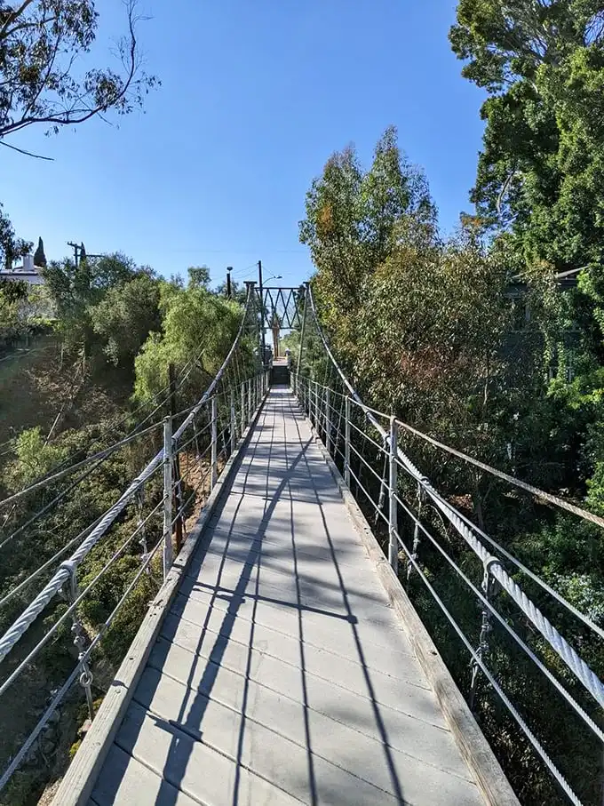 Tree huggers rejoice! This bridge lets you get up close and personal with nature's skyscrapers. No climbing gear required.