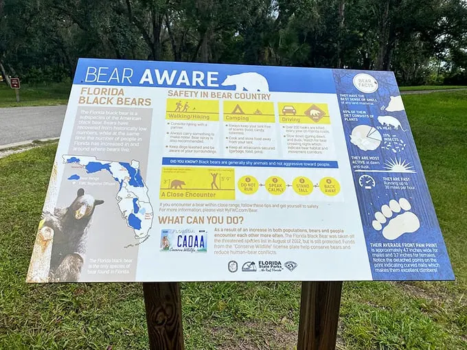 Bear necessities 101: A crash course in coexisting with our furry neighbors. Remember, they're not looking for pic-a-nic baskets, Yogi!