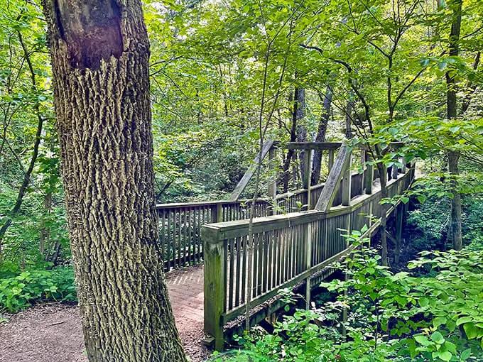 Bridge over untroubled water. This wooden walkway invites you to cross into a world where stress doesn't exist.