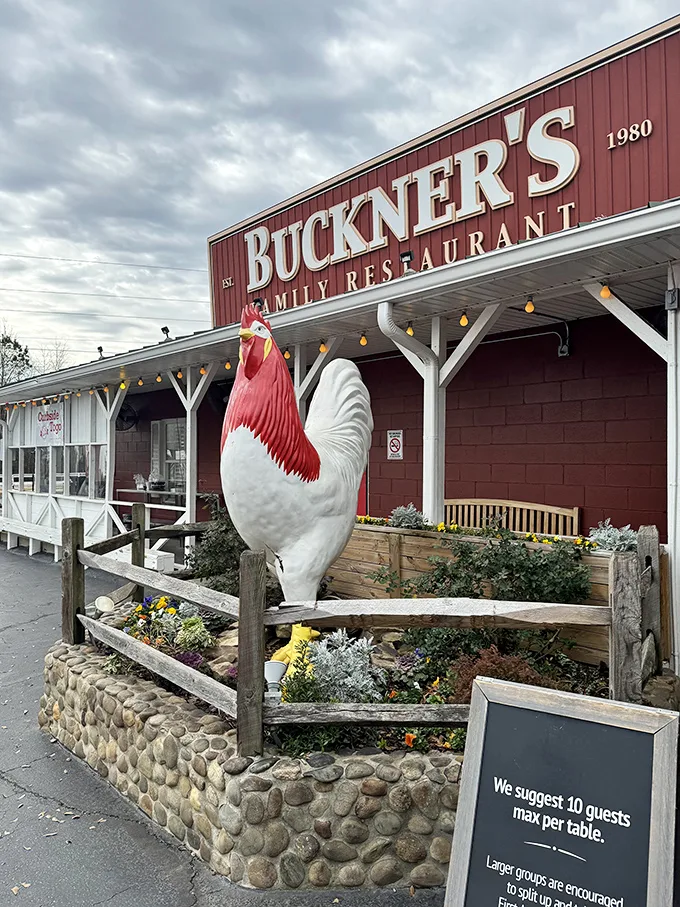 Move over, garden gnomes! This larger-than-life rooster is Buckner's unofficial greeter, town crier, and selfie superstar all rolled into one.