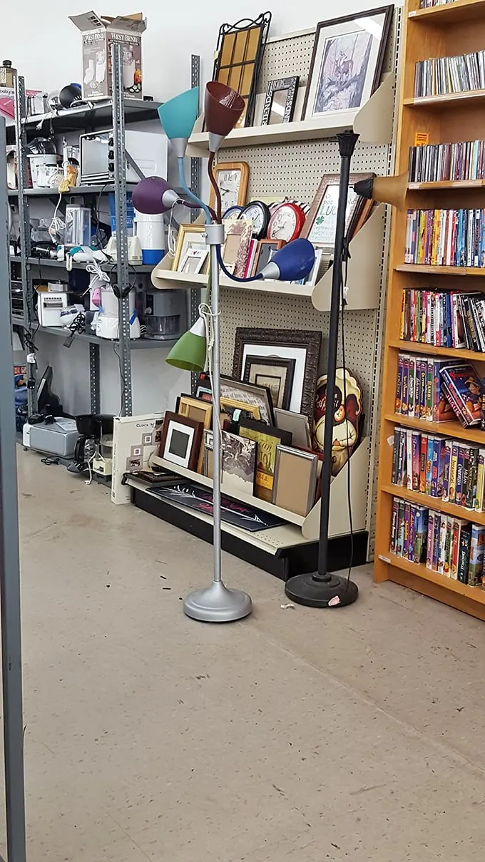 From funky lamps to framed art, this corner is where home décor goes to find its forever family.