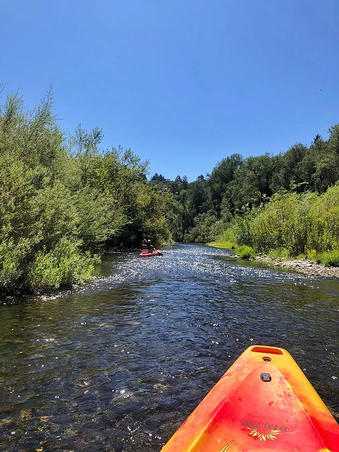 Kayaking: Adventure calls, and it sounds like rushing water! This kayaker is living their best "Lewis and Clark meets wine country" life. Paddle on, brave explorer!