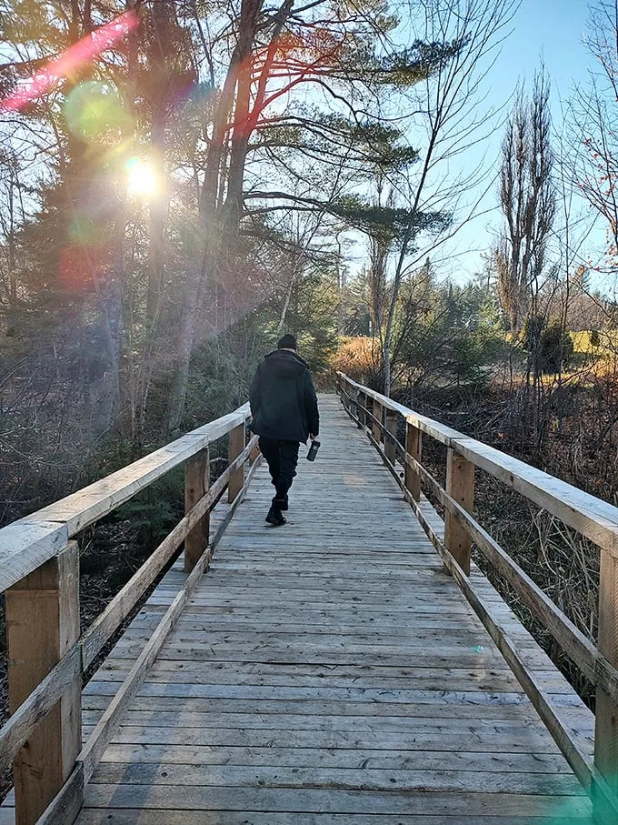Bridge over tranquil water! This wooden walkway invites you to take a stroll into nature's embrace, no troll toll required.