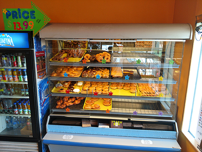 A window to wonderland! This display case is like a museum of deliciousness, each shelf a different exhibit of joy.