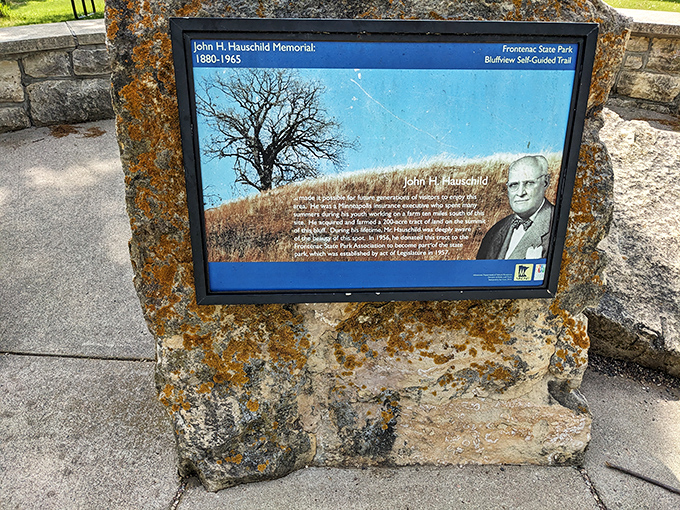 History lesson al fresco: Because learning is always better with a side of fresh air and scenic views.