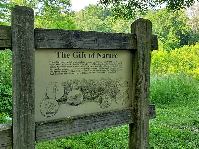 "Nature's classroom is in session! This informative sign proves that learning can be a walk in the park – literally!"