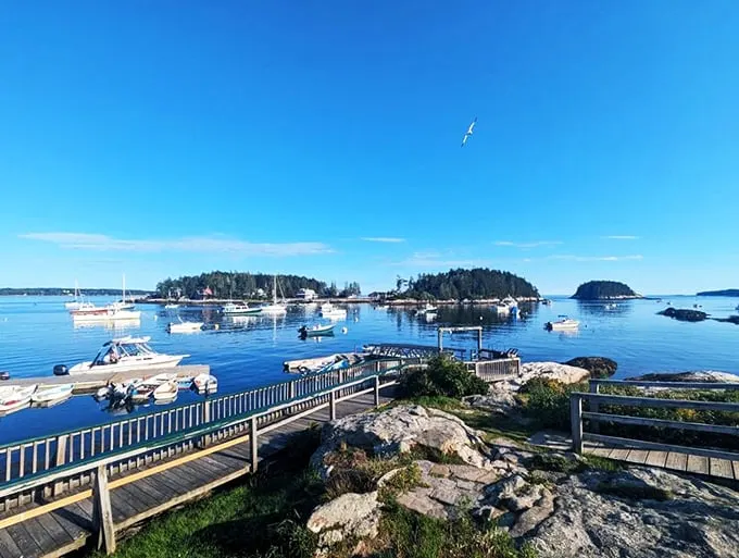 Island-dotted waters that make you want to quit your day job and become a lobsterman. Or at least daydream about it.