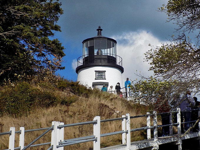 Autumn meets maritime history in this picturesque scene. It's like a Bob Ross painting come to life, happy little lighthouse included.