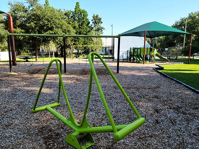 Swing into childhood: This playground equipment promises giggles, grass-stained knees, and a brief escape from adulting.