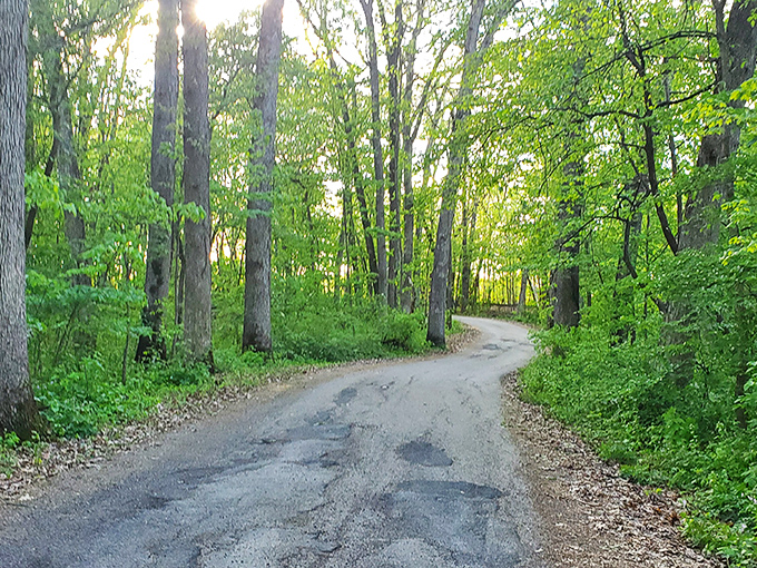 The road less traveled, now with more gravel! Robert Frost would approve of this poetic path through the woods.