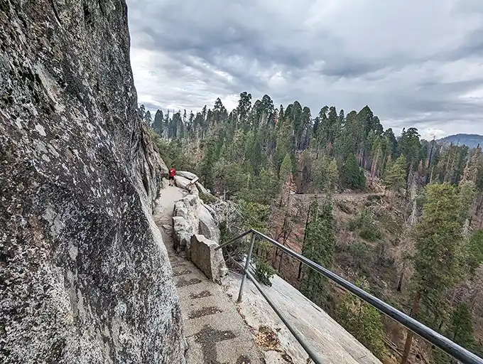 Who needs a drone when you've got Moro Rock? This bird's-eye view of the park will have you feeling like a soaring eagle.