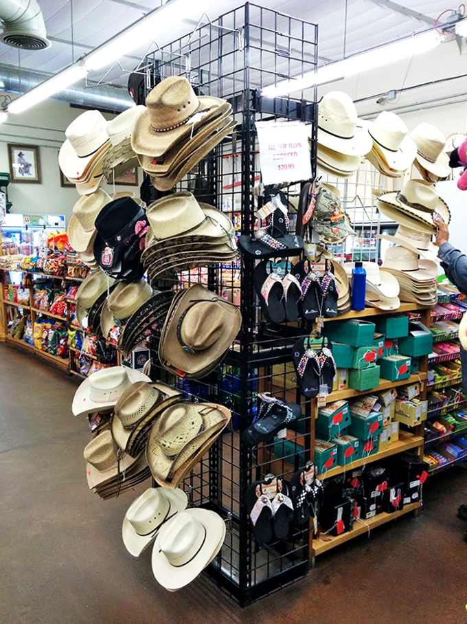 Hang onto your head with these hats! From cowboy cool to sun-smart, there's a topper for every noggin.