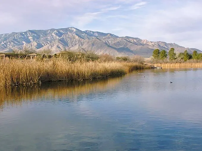 Safford's Roper Lake: An unexpected oasis that'll make you wonder if you've stumbled into a desert mirage.