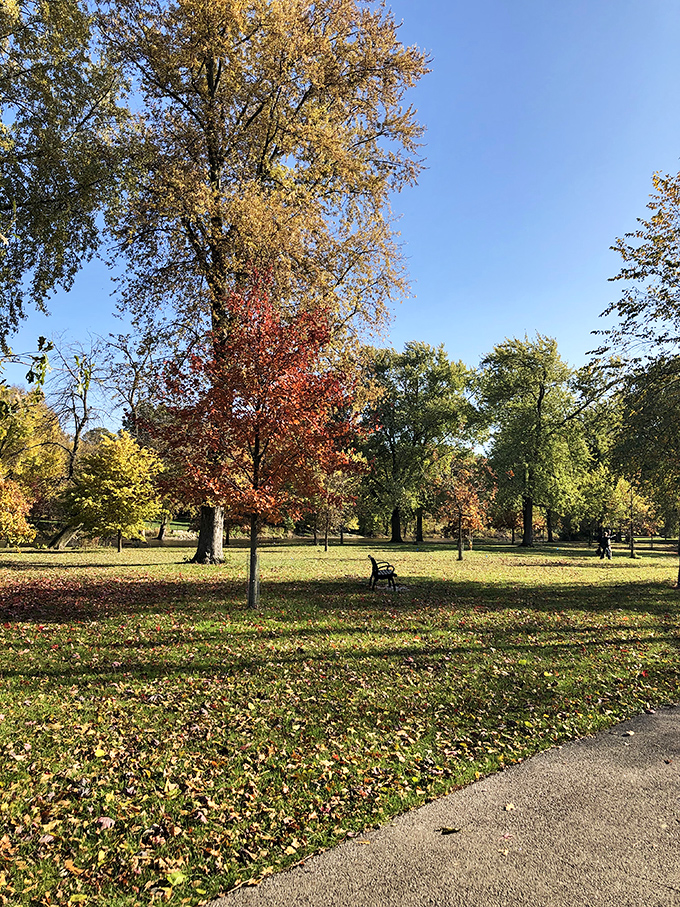 Autumn's paintbrush at work: Mother Nature's fall palette transforms Island Park into a living, breathing work of art.