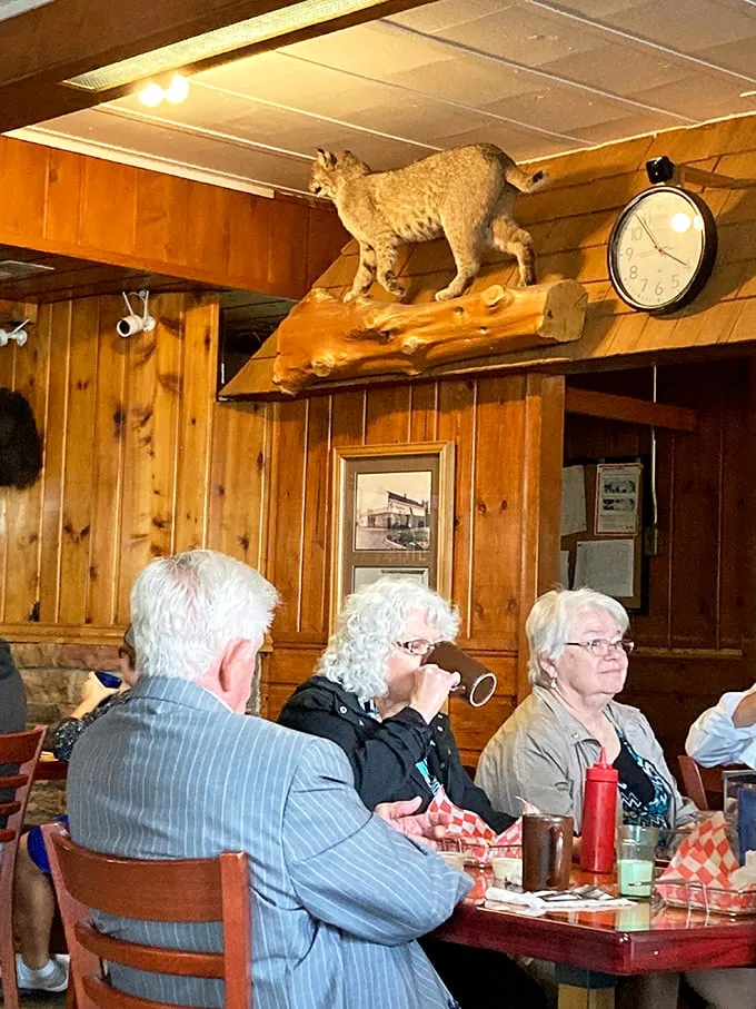 Where taxidermy meets tasty morsels. These diners are living proof that good food can make anyone forget they're being watched by a stuffed bobcat.