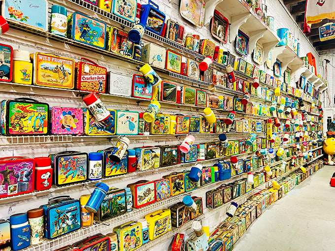 It's not hoarding if it's historic! This vast collection is like a 3D encyclopedia of pop culture, one lunch box at a time.