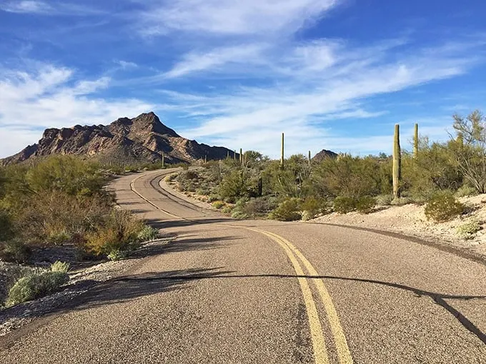 "The yellow brick road's sun-baked cousin!" This winding desert highway promises adventure at every turn. Just don't expect to find any flying monkeys – maybe just a roadrunner or two.