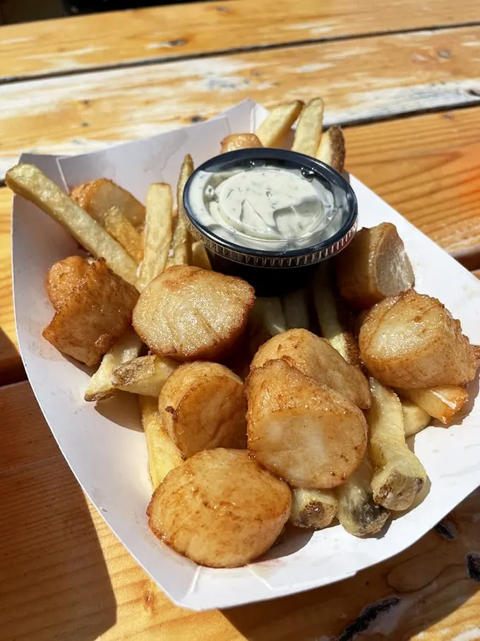 Golden nuggets of the sea. These fried scallops are like edible treasure, no map required.