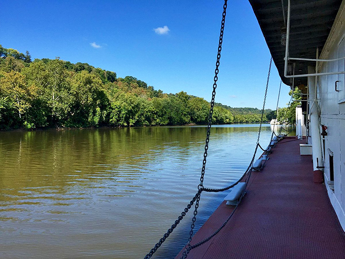 River views that'll make you want to write poetry – or at least a really good Instagram caption. Huckleberry Finn, eat your heart out!