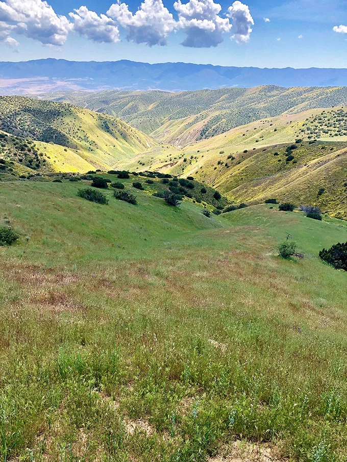 Hills that'll have you yodeling 'The hills are alive…' Julie Andrews, eat your heart out!