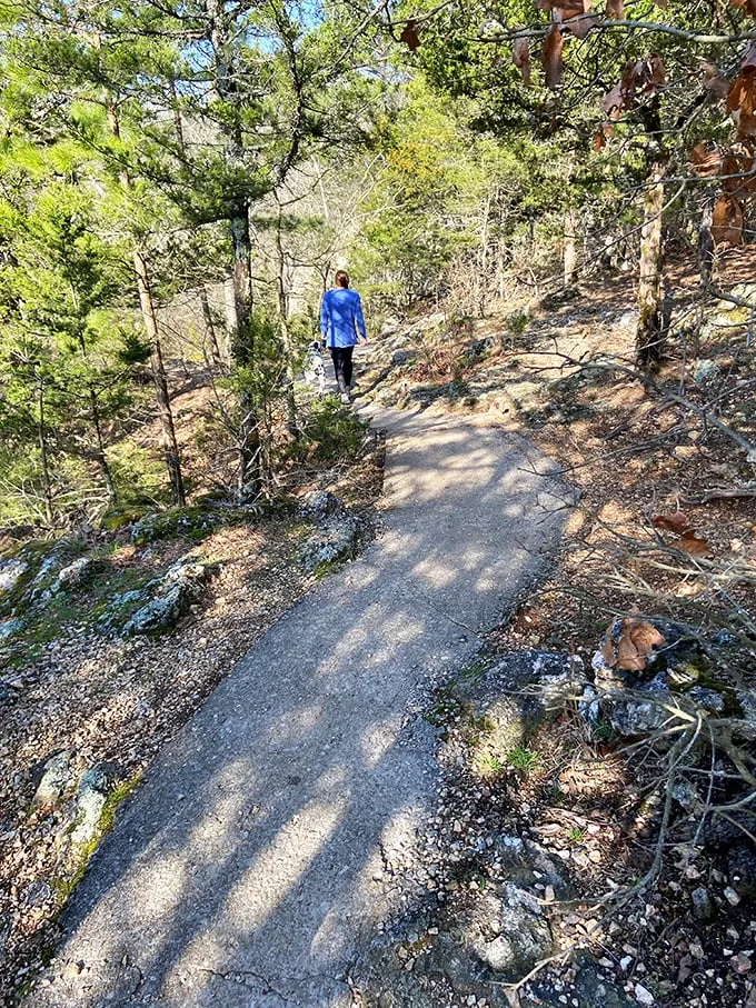 Hiking: where "taking a walk" gets an exciting makeover. Just don't expect your dog to appreciate the view.