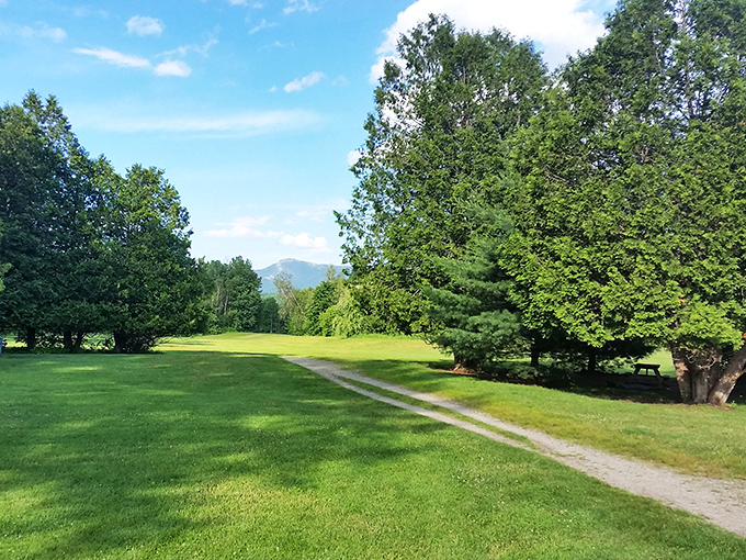Who needs a yellow brick road when you've got this golden path? Follow it to discover Vermont's own Emerald City – a lush, green paradise.