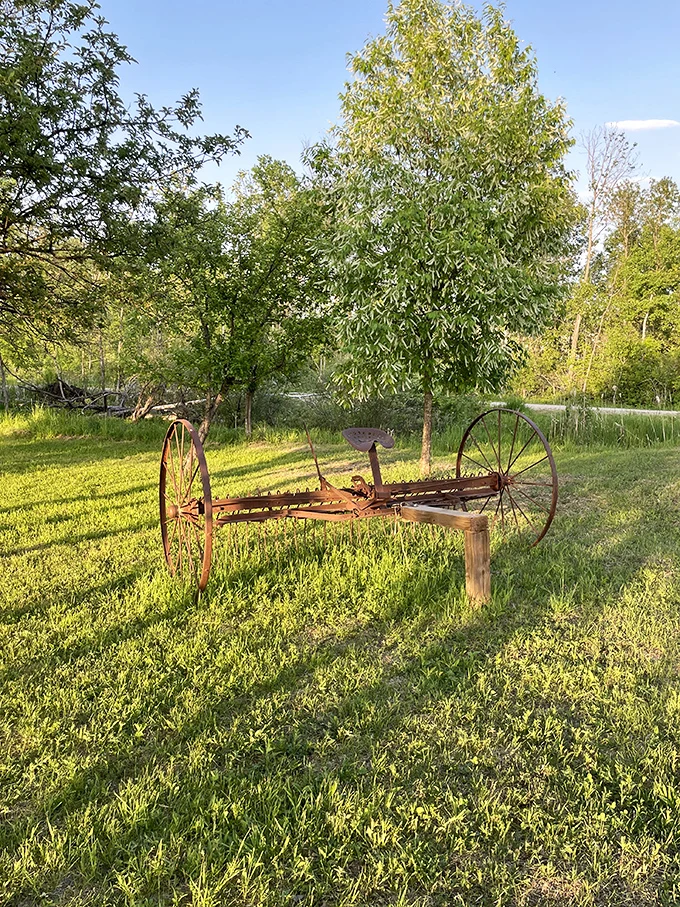 Rake me up before you go-go! This vintage farm tool is taking a well-deserved break after years of raking in the compliments.
