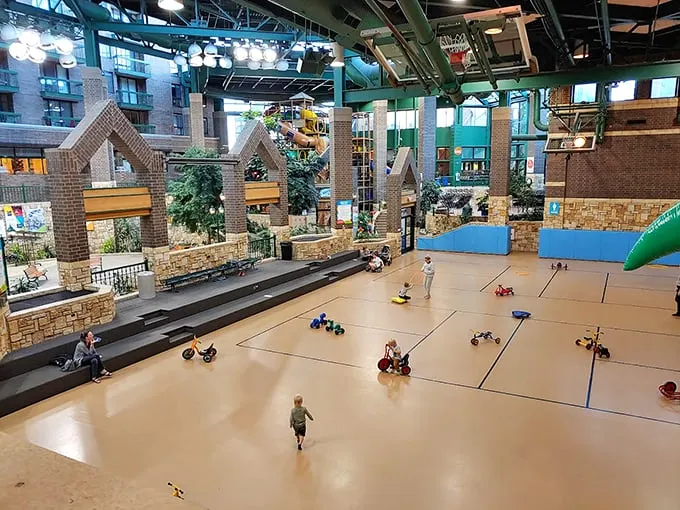 Welcome to the jungle, we've got fun and games! Edinborough Park's indoor playground is a kaleidoscope of childhood dreams come true.