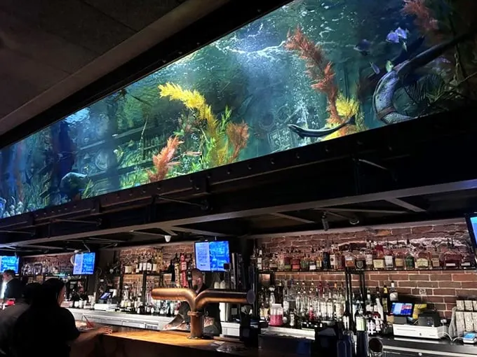 Forget fish tanks – this aquatic extravaganza turns happy hour into a deep-sea adventure. Just don't try to high-five the mermaid!