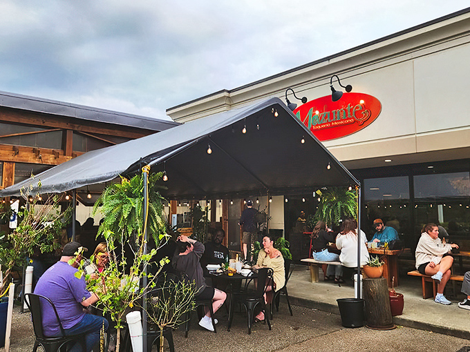 "Forget the Fountain of Youth—Mazunte's vibrant patio is where the real magic happens. Tacos and twinkle lights? Yes, please!"