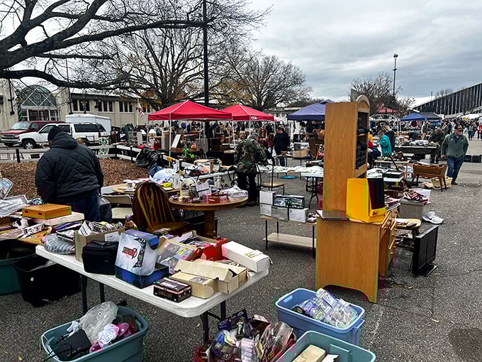 Colorful tents and endless possibilities: Welcome to the Raleigh Flea Market, where one person's clutter becomes another's prized collection.