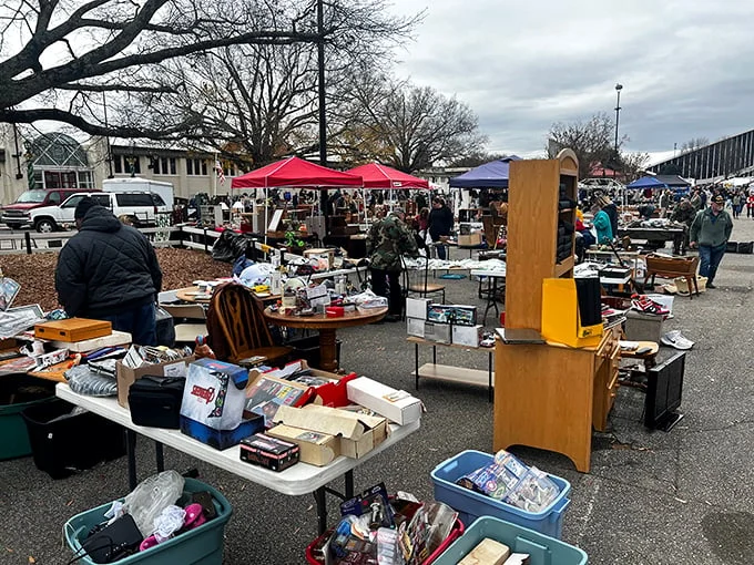 Colorful tents and endless possibilities: Welcome to the Raleigh Flea Market, where one person's clutter becomes another's prized collection.